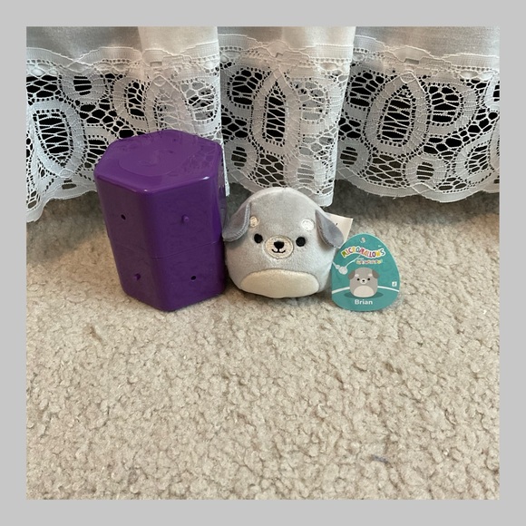 Squishmallows | Toys | Newbrian Micromallow | Poshmark